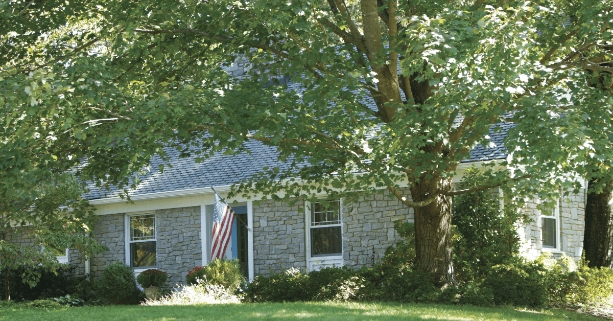 What to Do About a Tree Leaning Toward Your House